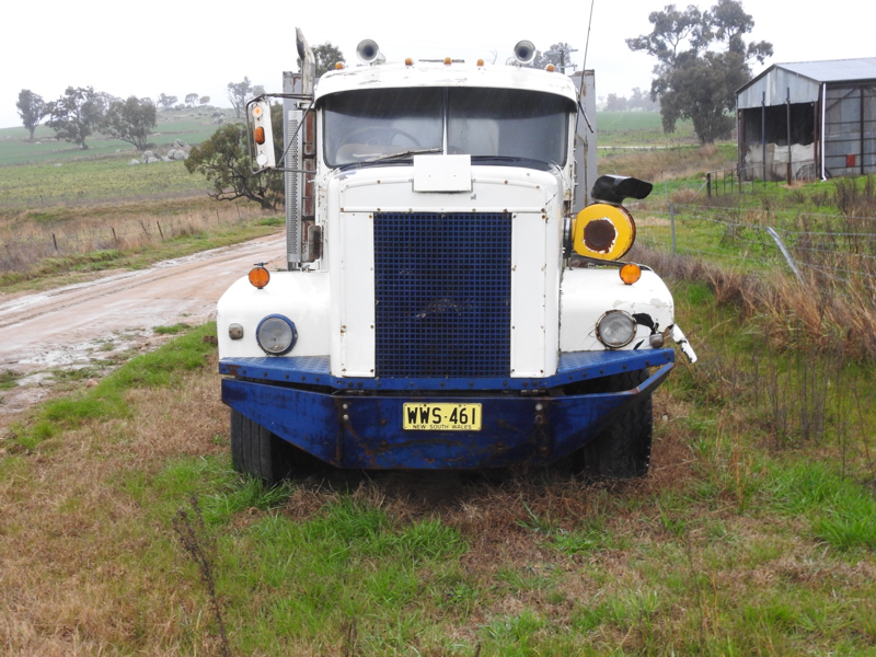 Lot 91 - Diamond Rio Truck | AuctionsPlus