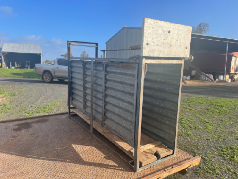 Jim Jet sheep jetting race. | AuctionsPlus