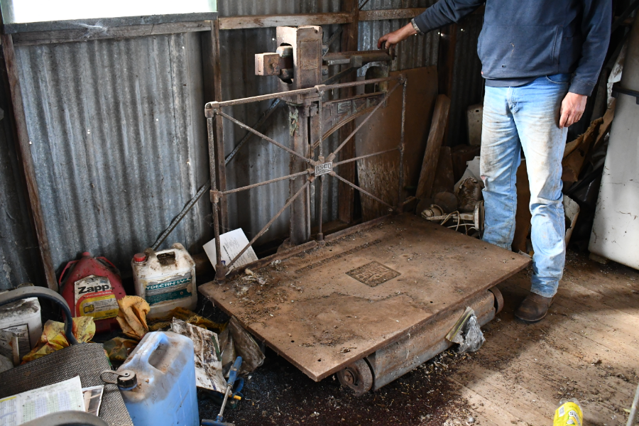 Lot 34 - Asco wool scale | AuctionsPlus