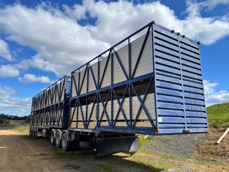Lot 3 Cannon Cattle Crates Auctionsplus