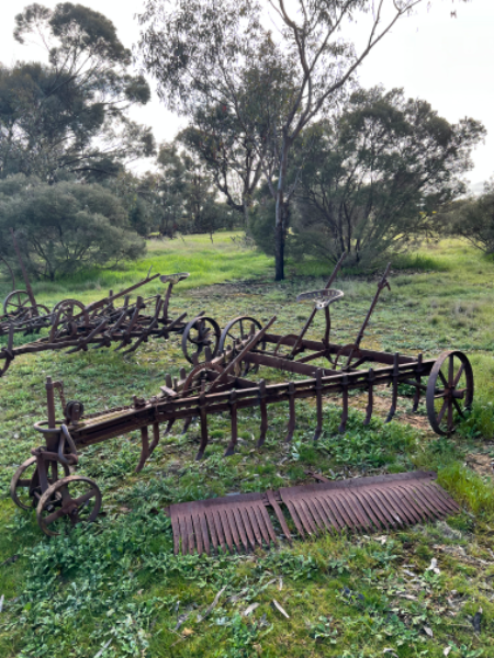 Lot 1 - Vintage Scarifier | AuctionsPlus
