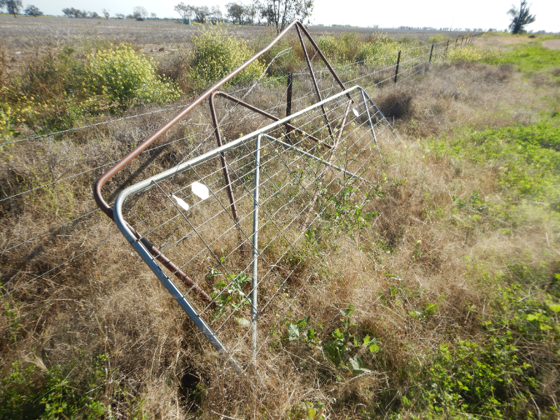 Lot 66 - 2 x farm gates | AuctionsPlus