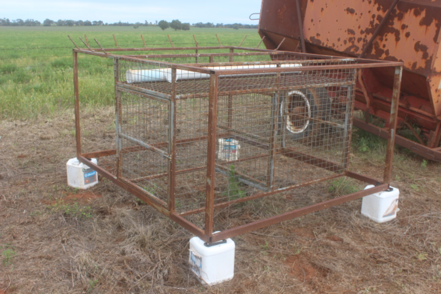 Lot 238 - Roo Shooting Crate | AuctionsPlus