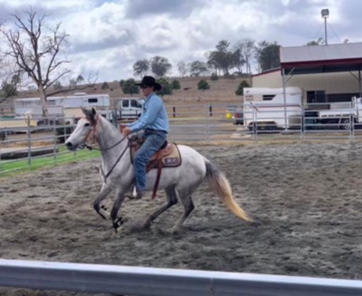 Lot 58 - JAYLYN DOWNS MARGOT - HSH | AuctionsPlus