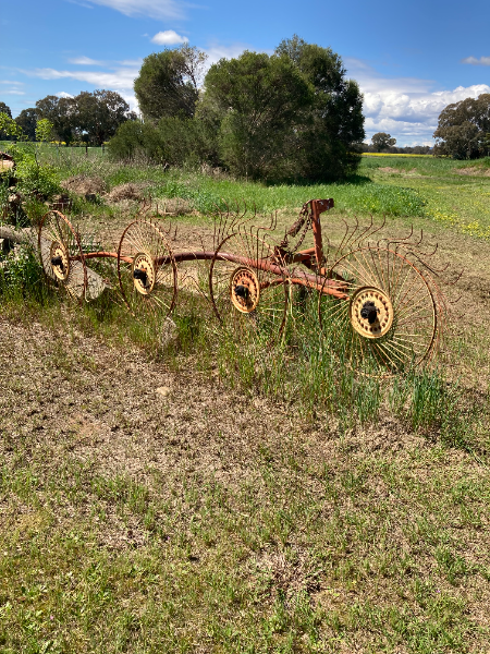 Lot 54 - Massey Ferguson Hay Rake | AuctionsPlus