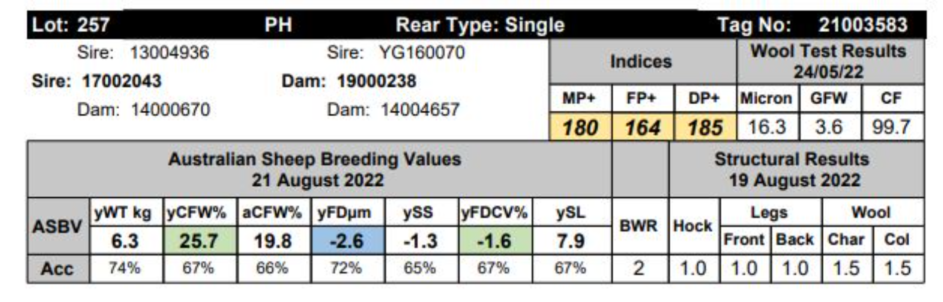 Lot 257 - Tag 21003583 | AuctionsPlus