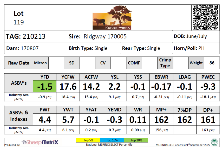Lot 119 - Tag: 210213 | AuctionsPlus
