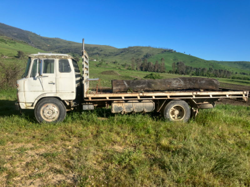 Lot 179 - Hino 16ft Tray Truck | AuctionsPlus