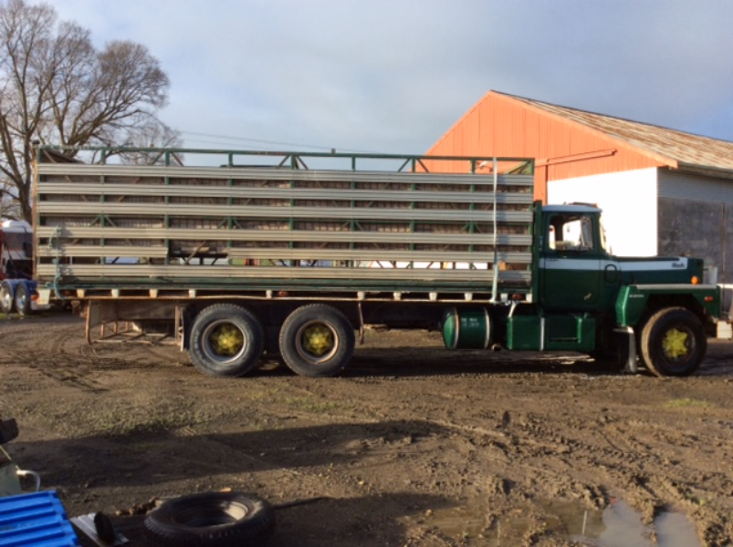 Lot 178 - Flintstone Mack ****TRUCK ONLY**** | AuctionsPlus