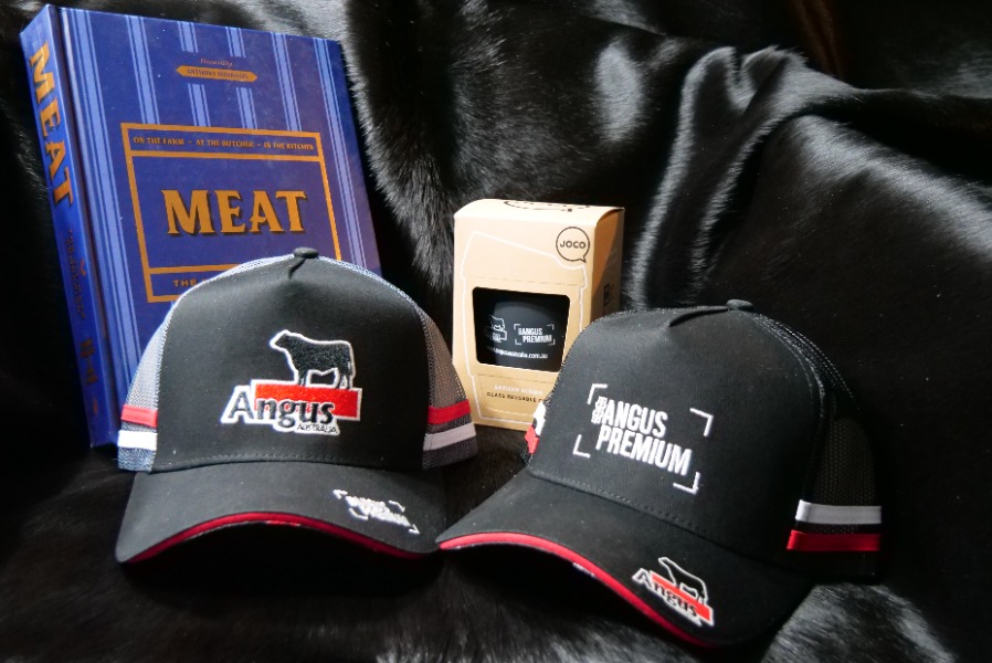 Lot 1 - Angus Hide and Merchandise pack | AuctionsPlus