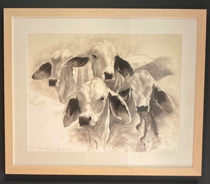 Lot 11 - Framed Brahman Weaner print | AuctionsPlus