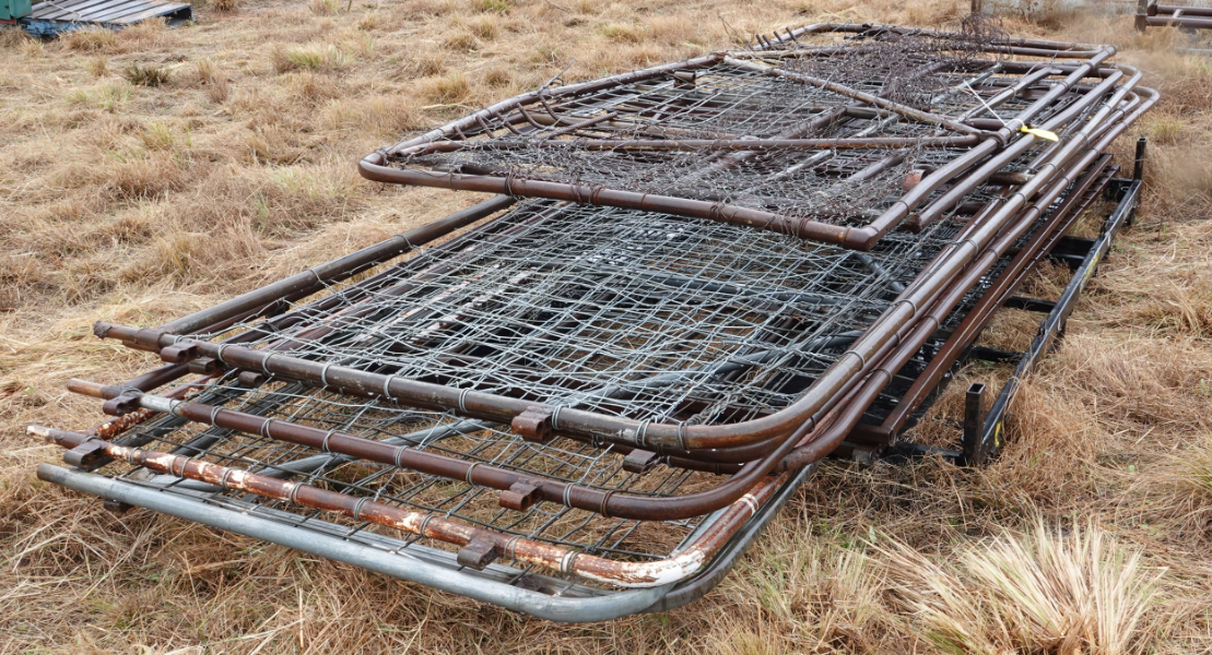 Lot 90 - Goat Trap | AuctionsPlus