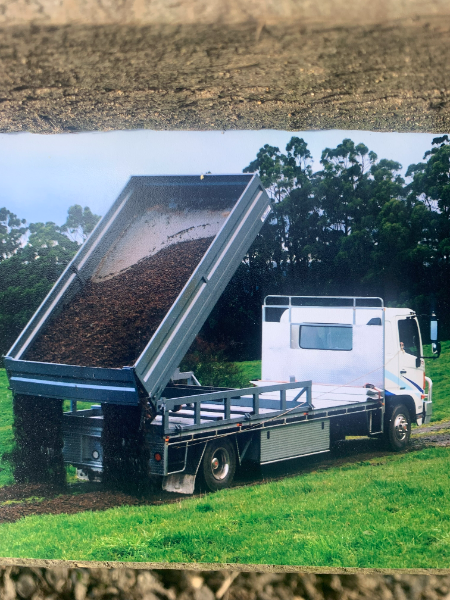 Lot 226 - Tipping Body | AuctionsPlus