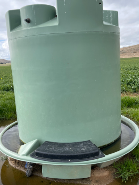 Lot 133 - Cup & Saucer Trough 3 | AuctionsPlus