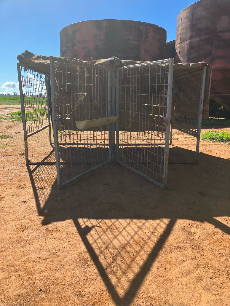 LOT 146 - Dog Cage | AuctionsPlus