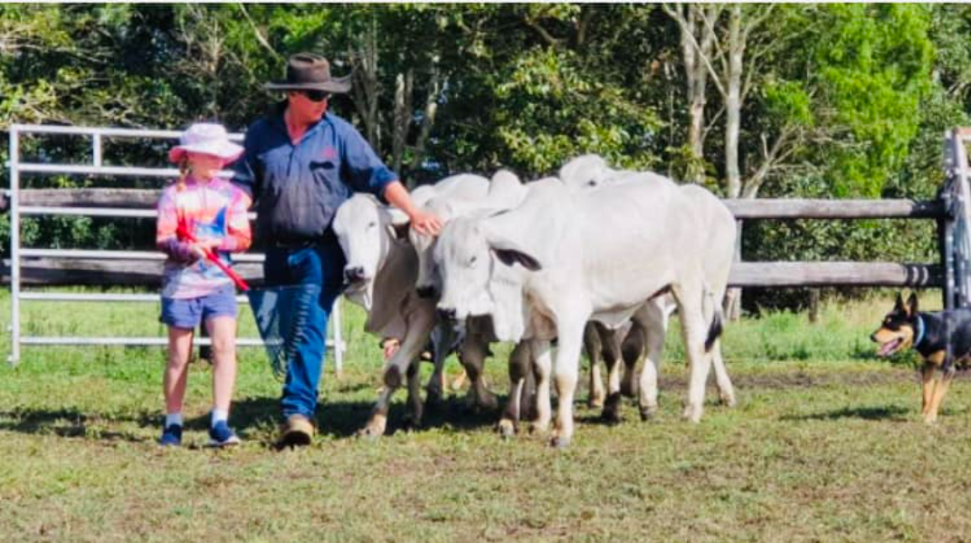Lot 31 - LIVESTOCK MANAGEMENT & MOVEMENT COURSE | AuctionsPlus