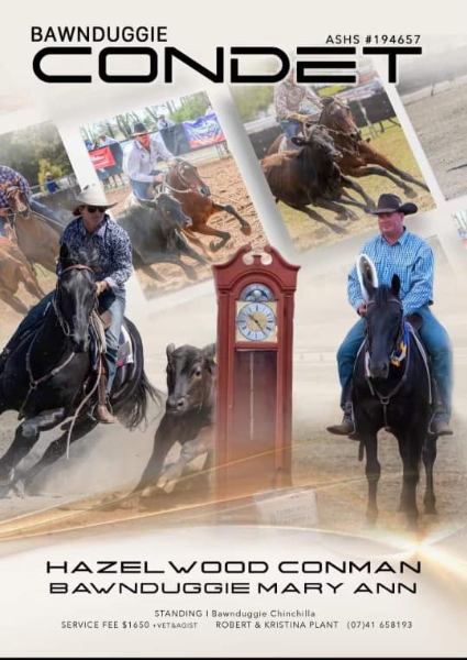 Lot 36 - BAWNDUGGIE CONDET SERVICE FEE | AuctionsPlus