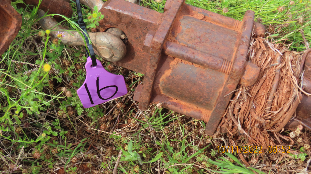 Lot 16 - Prickle Chain | AuctionsPlus