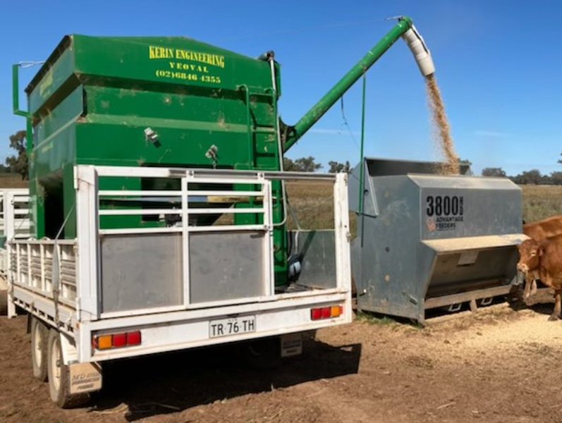 Lot 11 - Kerin Engineering 60 bag tabletop grouper | AuctionsPlus