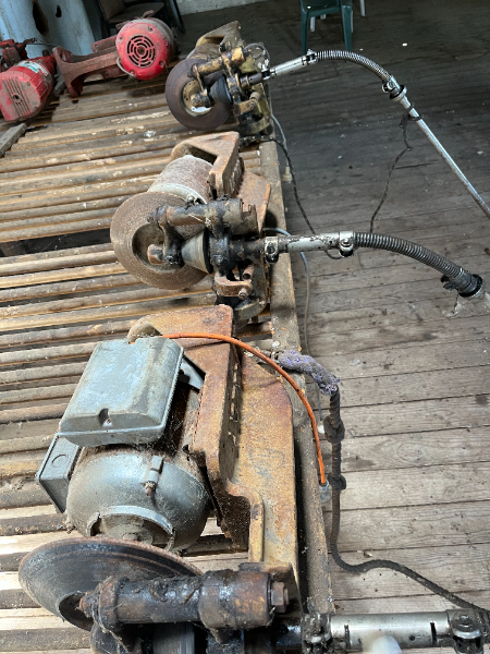 Lot 171 - Lista Shearing Plants | AuctionsPlus