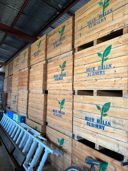 Lot 117 - Timber Storage Box's | AuctionsPlus