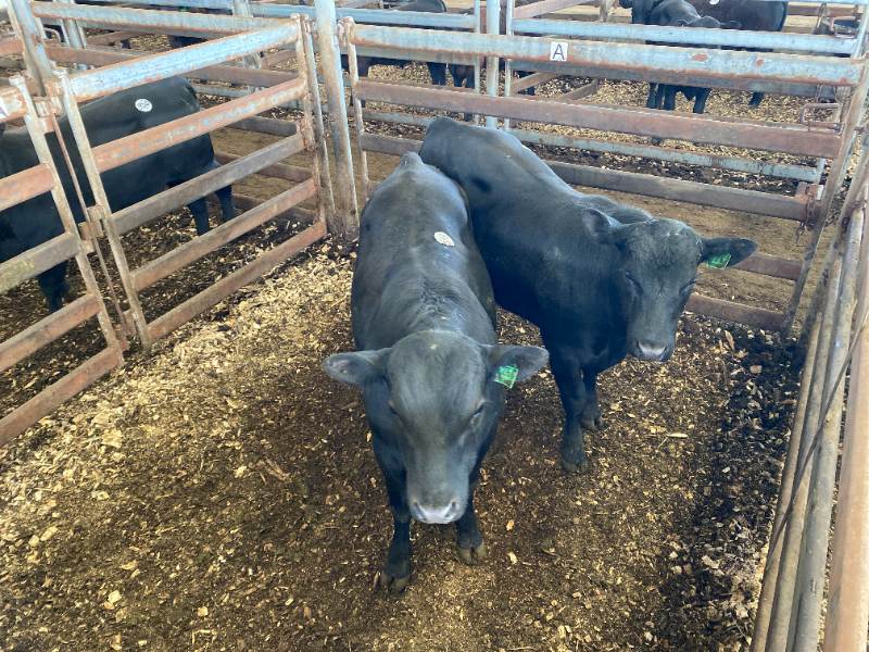 Lot 348 - TAG NO: VRRS265 | AuctionsPlus