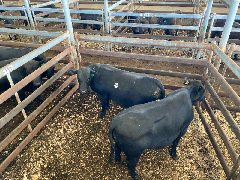 Lot 354 - TAG NO: VRRS280 | AuctionsPlus