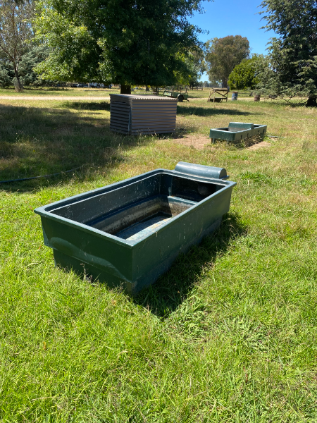 Lot 30 - 450 litre Poly Sheep Water Trough. | AuctionsPlus