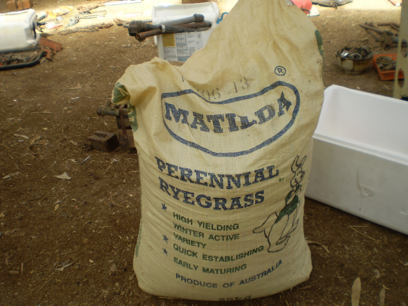 Lot 220 - 25kg Matilda Rye Grass Seed. | AuctionsPlus