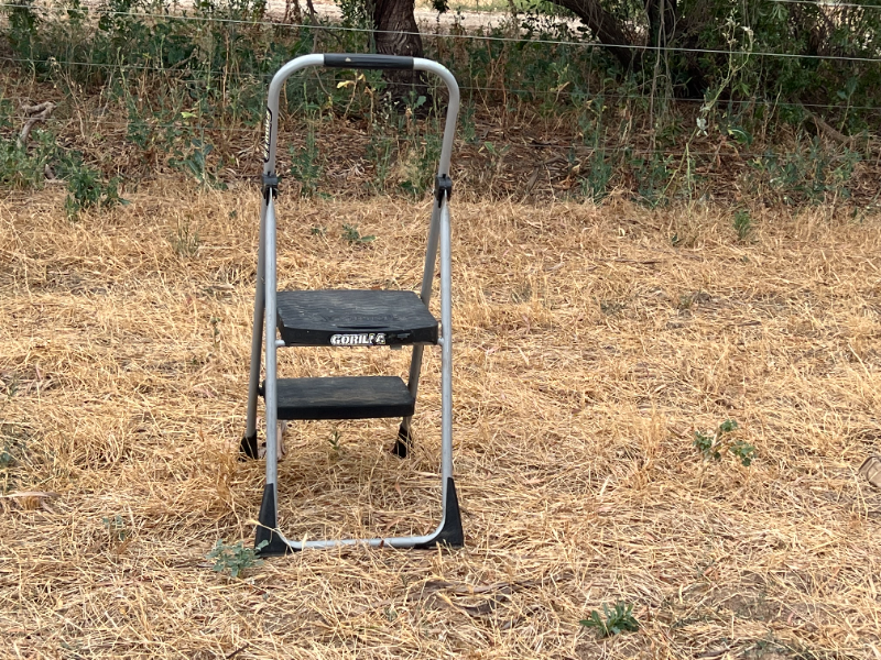 Lot 151 - Gorilla Step Ladder | AuctionsPlus