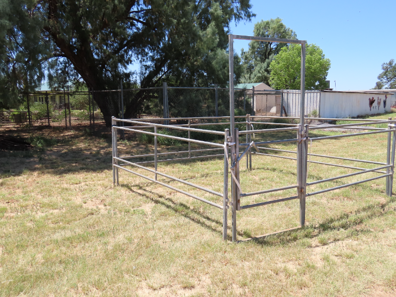Lot 25 - 10ft X 10ft Portable Horse Yard | AuctionsPlus