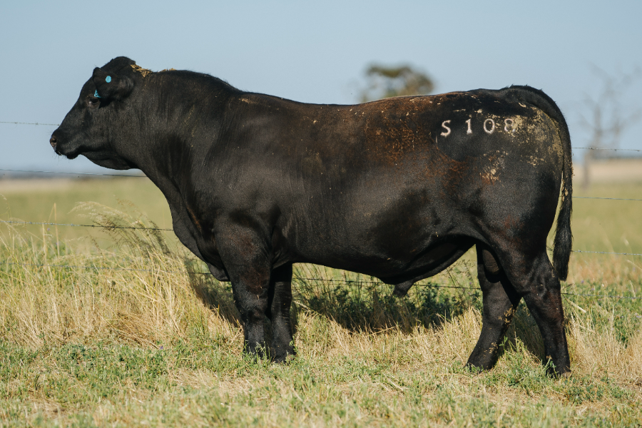 Lot 17 - KERINGA PARATROOPER S108 PV | AuctionsPlus