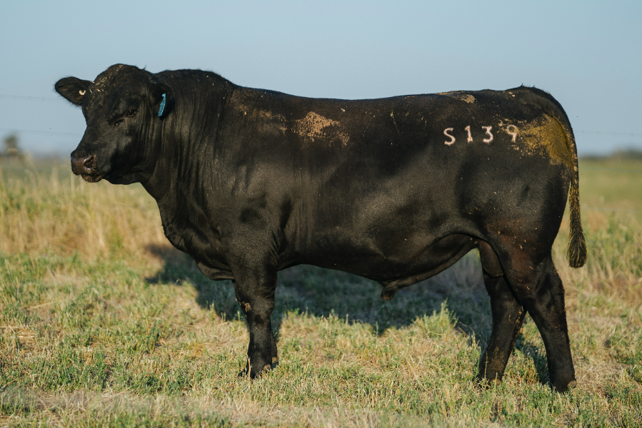 Lot 20 - KERINGA PARATROOPER S139 PV | AuctionsPlus