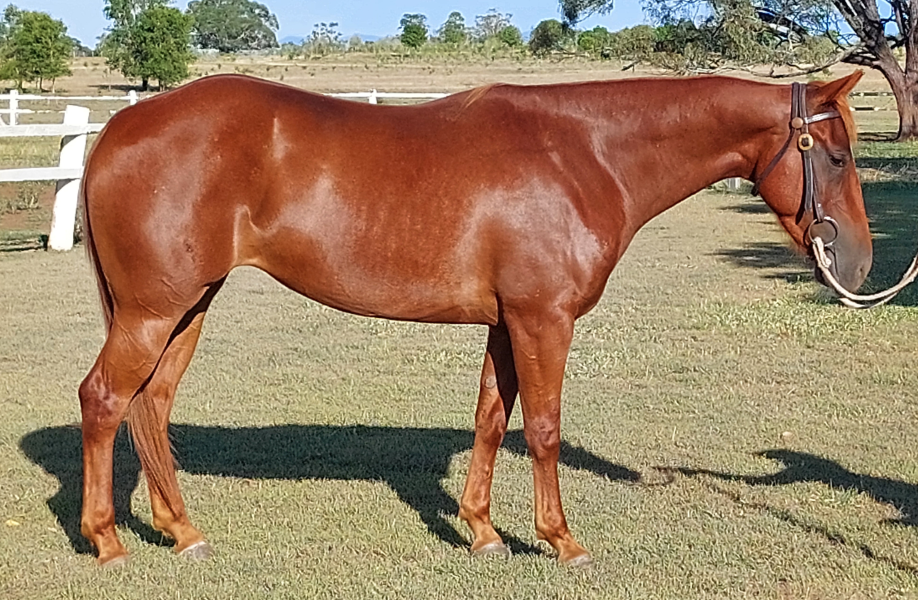 Lot 399 - TOKEN PAPERWORK | AuctionsPlus