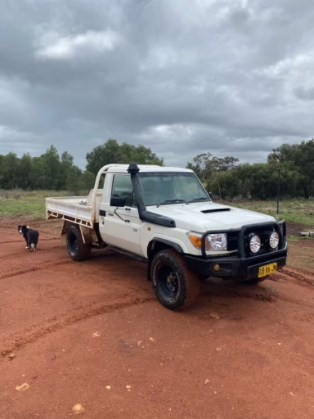 Lot 39 - Landcruiser Workmate ute | AuctionsPlus