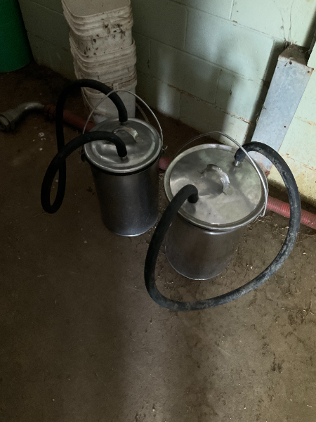 Lot 14 - 2 s/s test buckets | AuctionsPlus