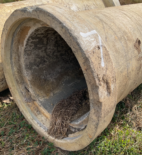 Lot 40 - Concrete collared pipe | AuctionsPlus