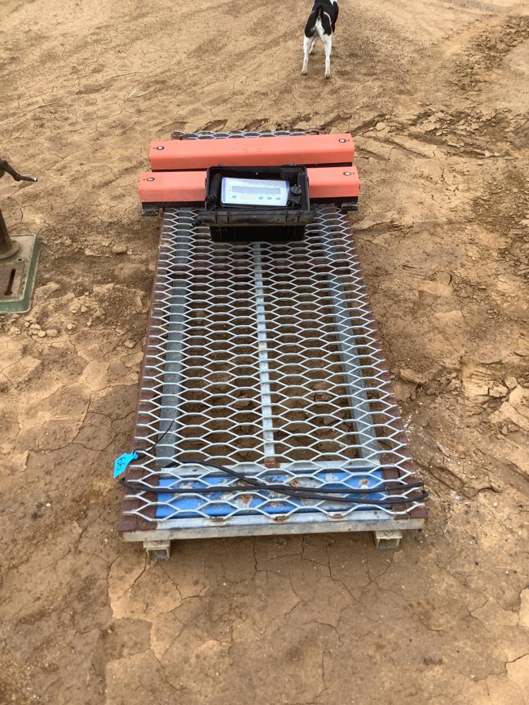 Lot 66 - Scintex Cattle Scales with Monitor | AuctionsPlus