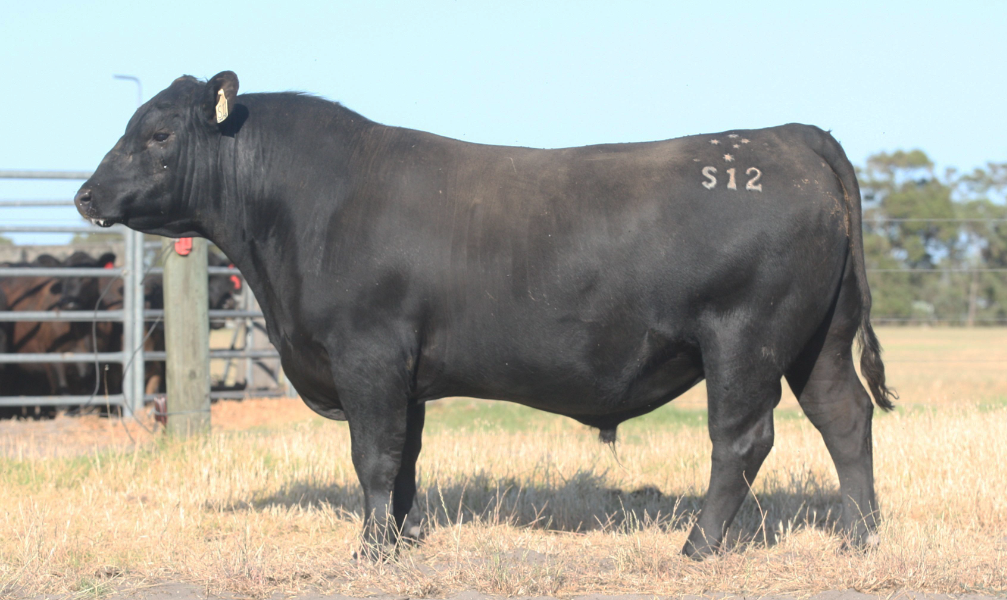Lot 5 - BLACK MARKET COMPASS S012 | AuctionsPlus