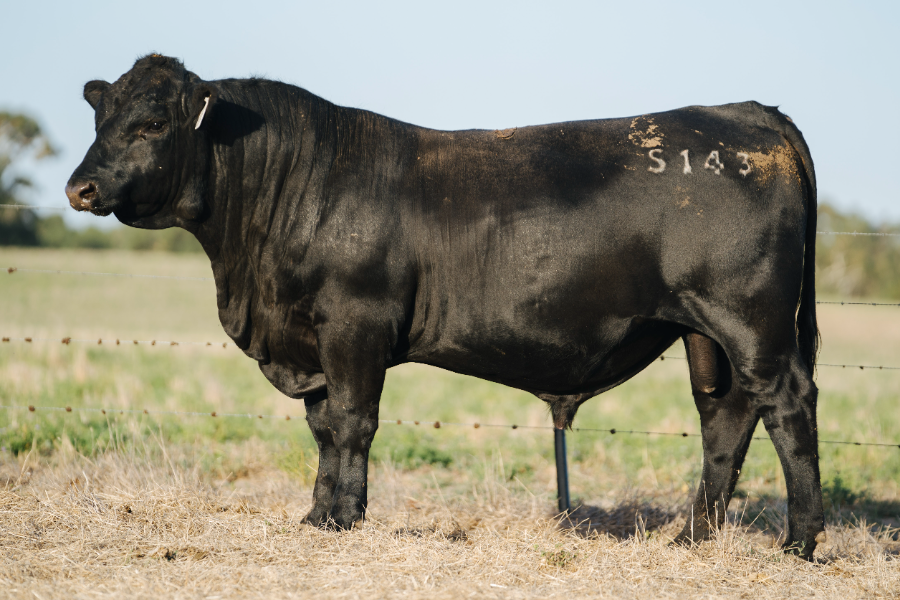 Lot 69 - KERINGA SIGN S143 PV | AuctionsPlus
