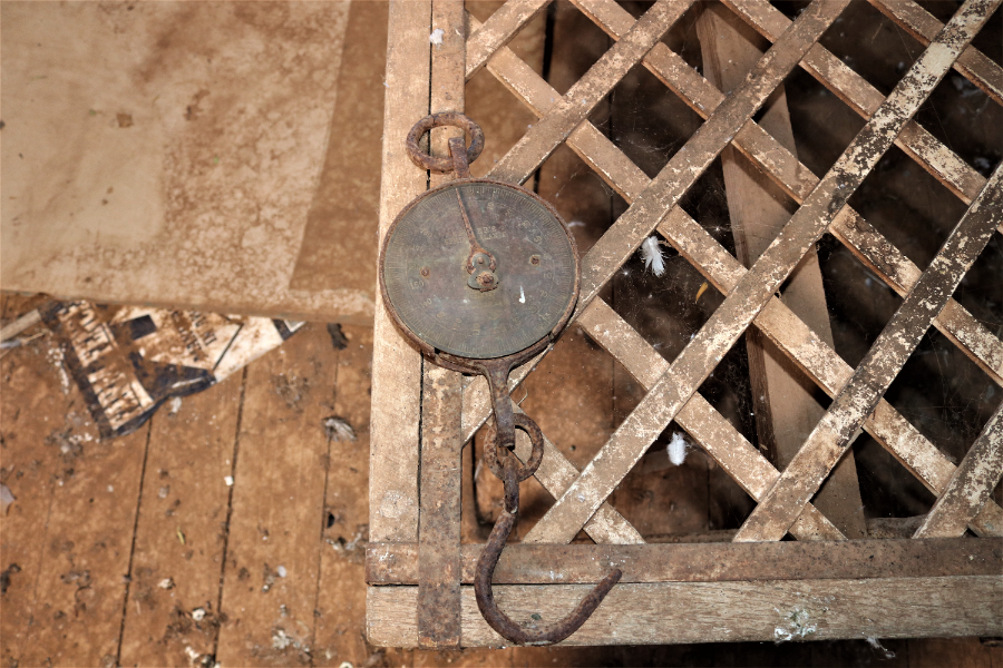 Lot 134 - Salters 200lb portable scale. | AuctionsPlus