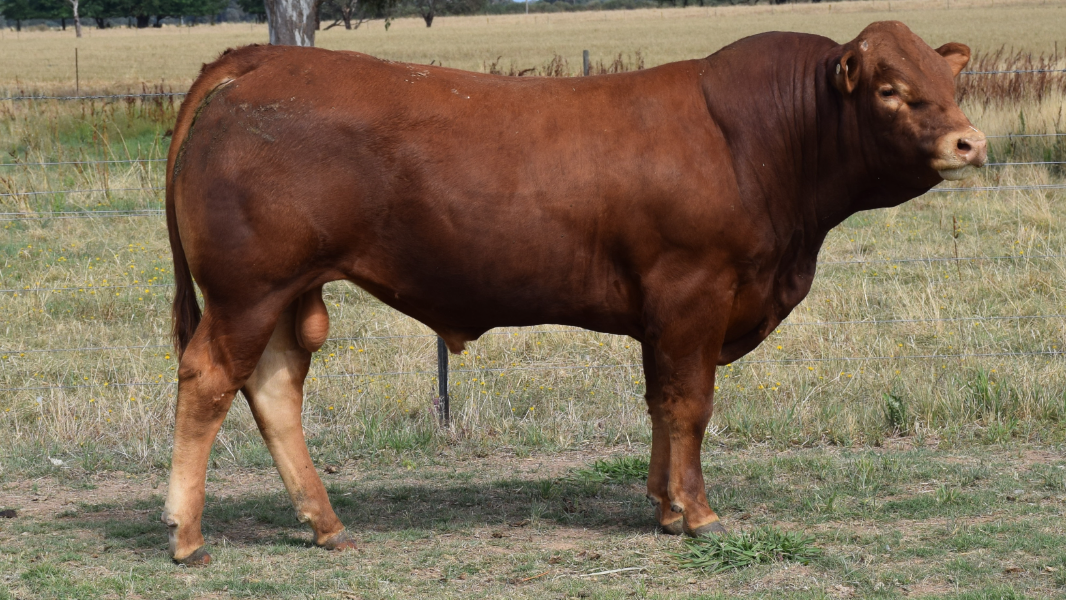 Lot 17 - CHATEAU SOVEREIGN S14 (P, A, U) | AuctionsPlus