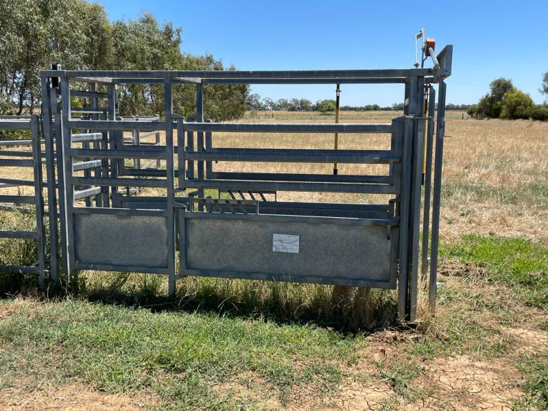 Lot 12 - Portable Cattle Yards and Crush | AuctionsPlus