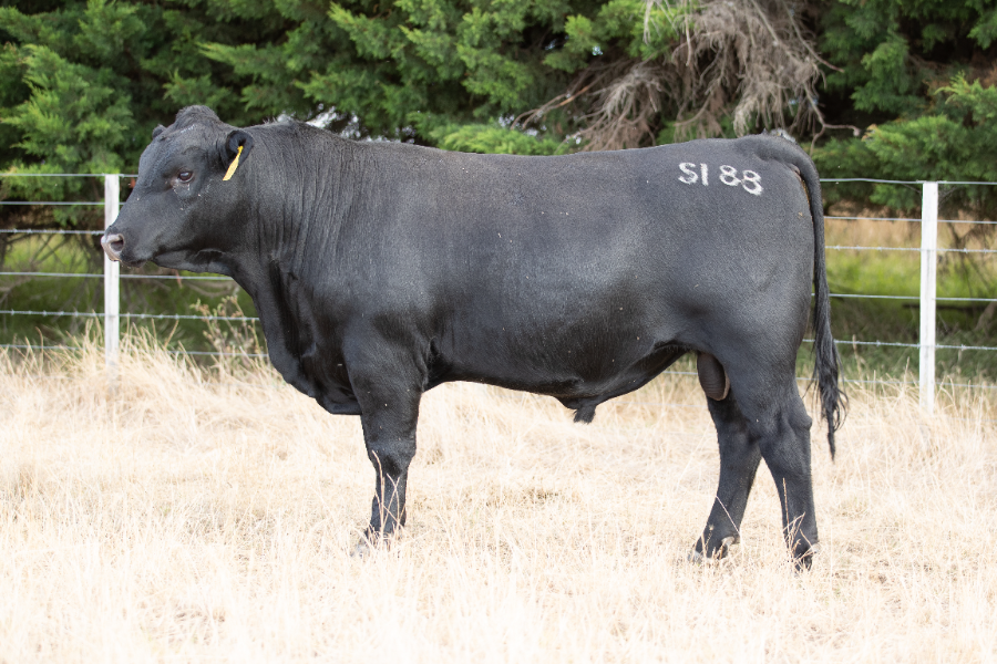 Lot 70 - MURDEDUKE GEDDES S188 | AuctionsPlus