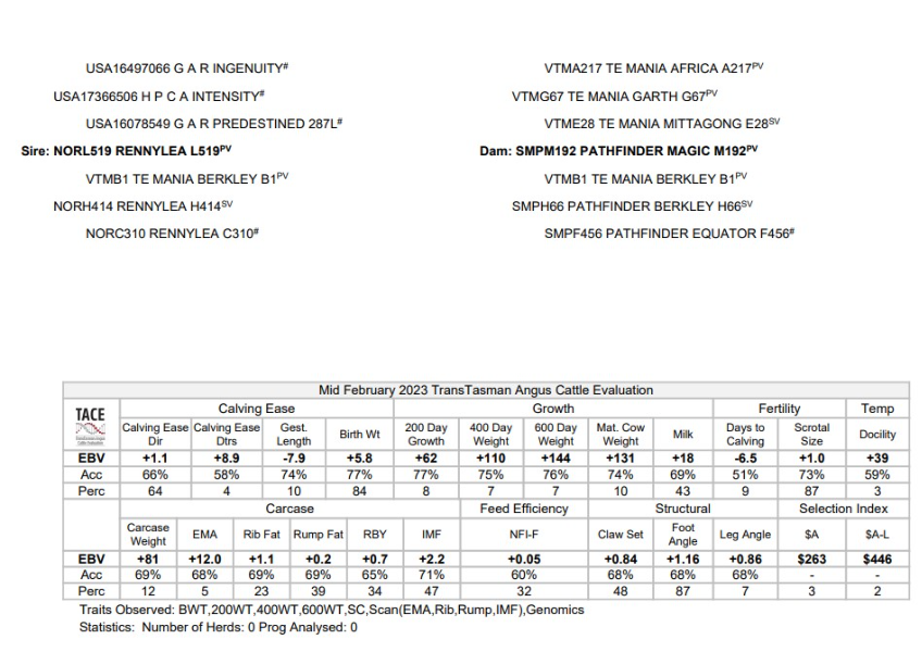 Lot 28A - REPLACEMENT - PATHFINDER 38 SPECIAL S158 | AuctionsPlus