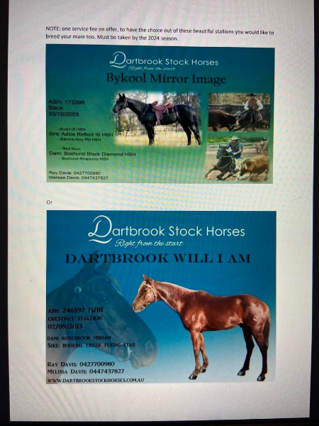 Lot 23 - Dartbrook ASH Stallion Service | AuctionsPlus