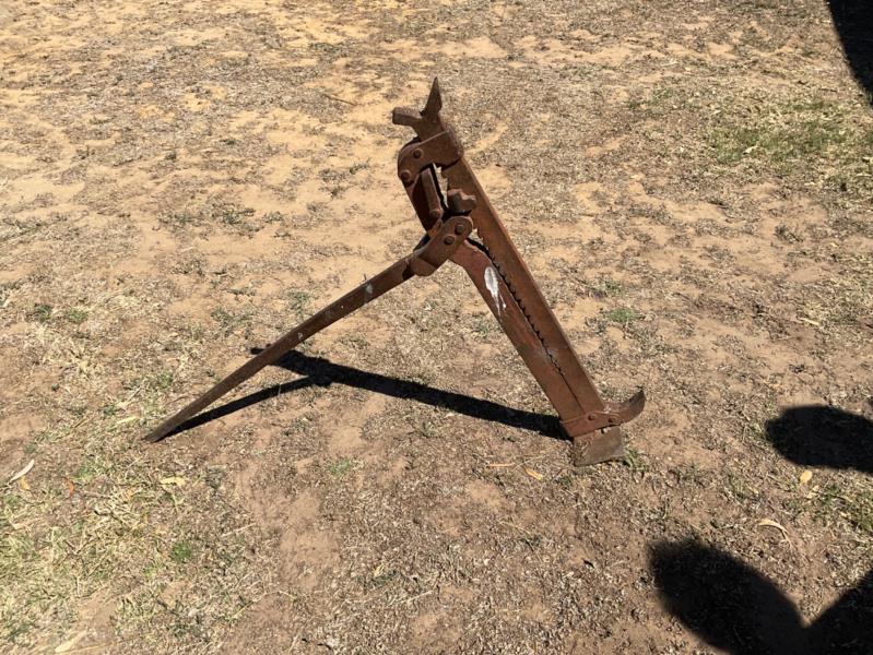 Lot 92 - Trawalla Jack | AuctionsPlus