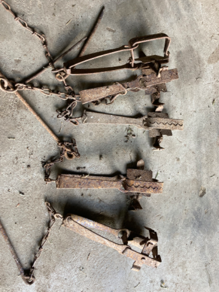 Lot 93 - ORNAMENTAL RABBIT TRAPS | AuctionsPlus