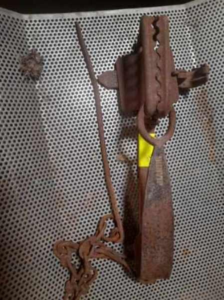 Lot 108 - RABBIT TRAP - BUNYIP | AuctionsPlus