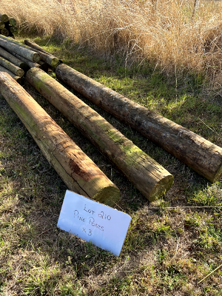 Lot 210 - Large Pine Posts x 3 | AuctionsPlus
